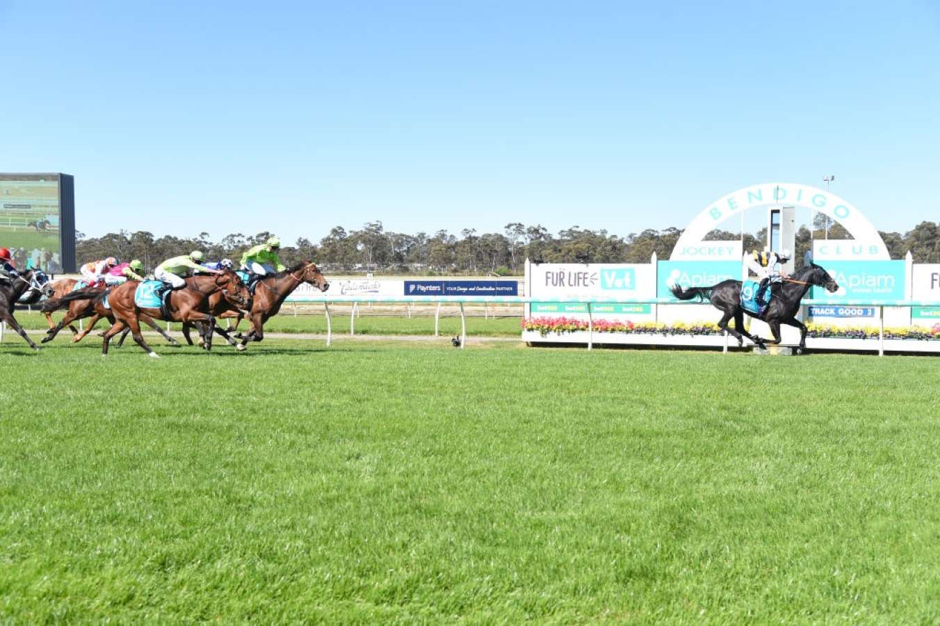 Sea King weight penalty confirmed for Cup