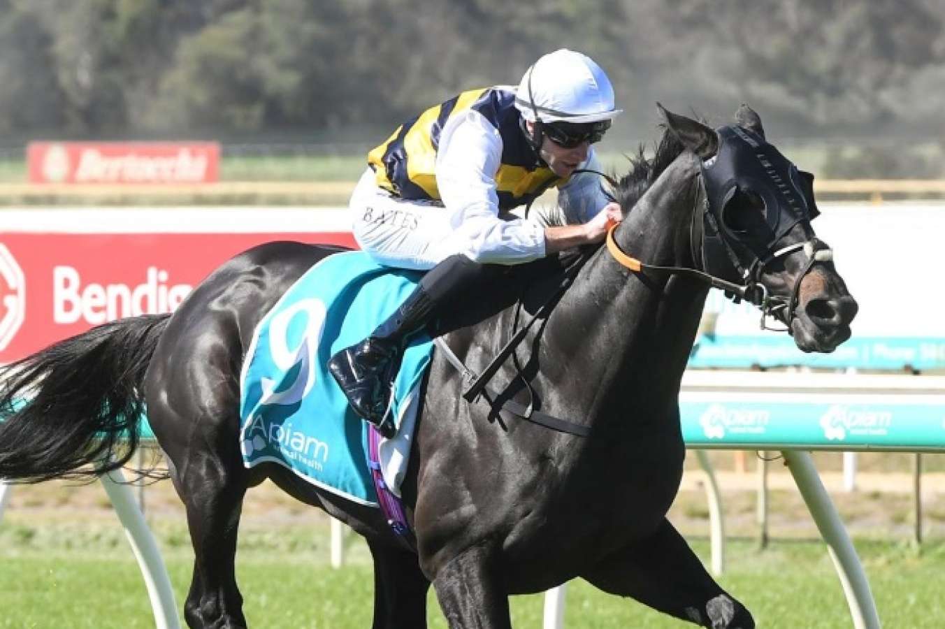 Harry Eustace to tackle 2024 Melbourne Cup with Sea King