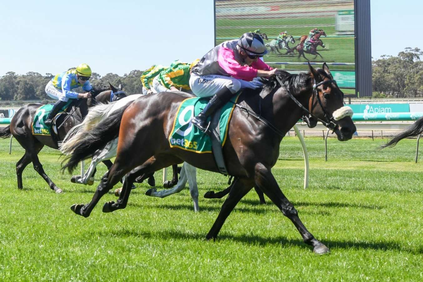 Wangaratta preview and tips: Thursday, December 23