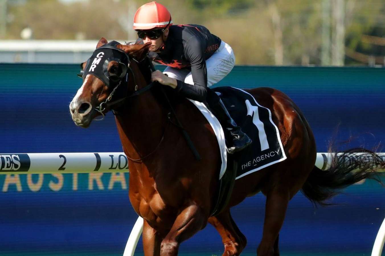 Runner-by runner preview and tips: G1 Tattersall's Tiara