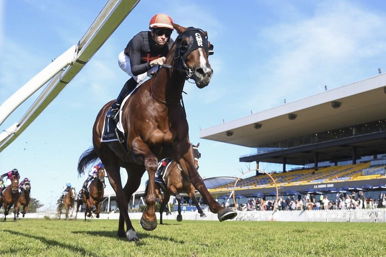 Coolmore Classic 2024 runner-by-runner Preview & Tips