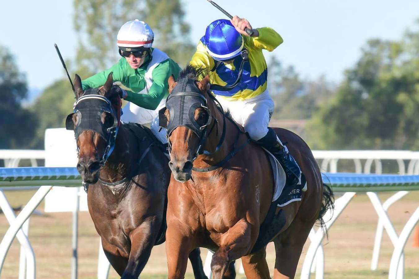Trainer fined $4000 over cocaine horse positives