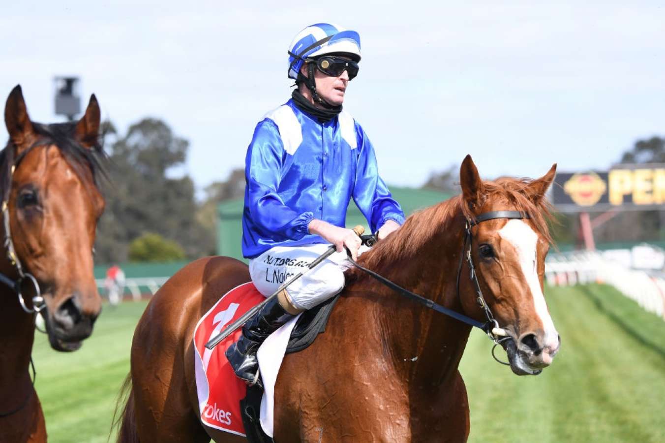 Melbourne Cup-winning owner cuts ties with Australian racing