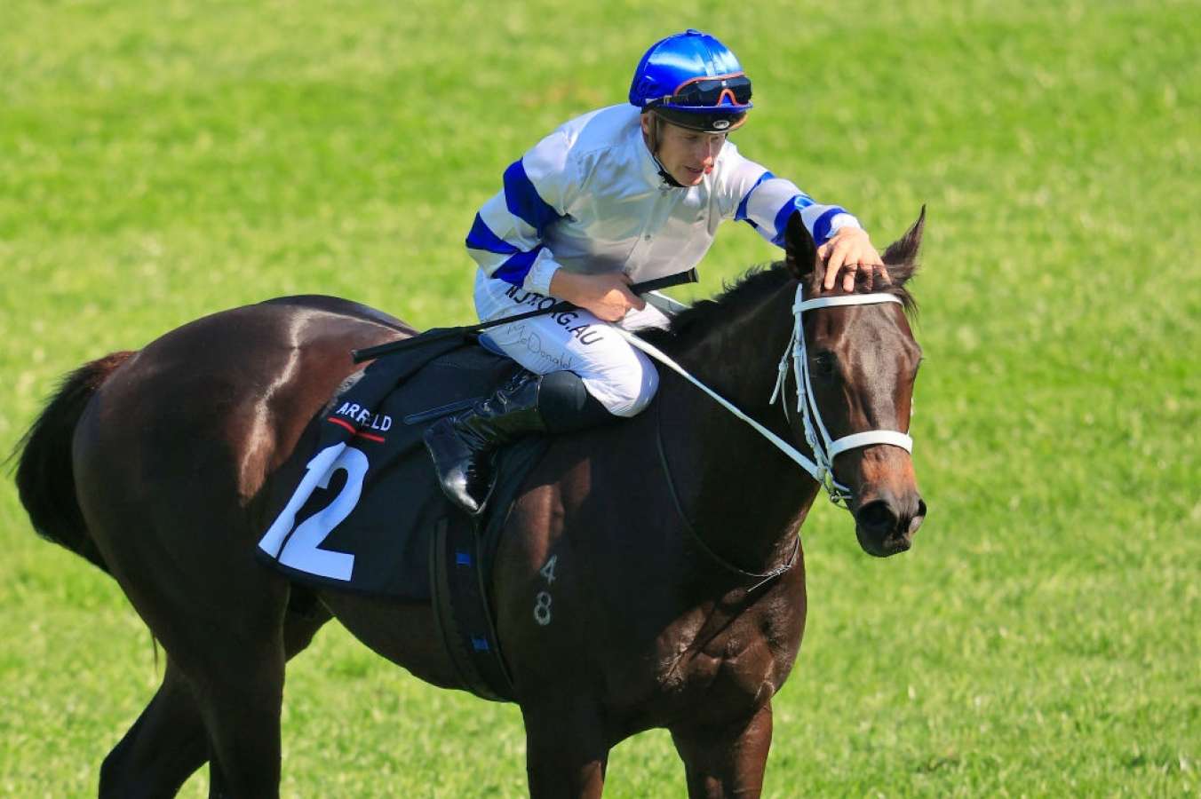 Waller colt Shaquero auditions for Magic Millions 2YO Classic