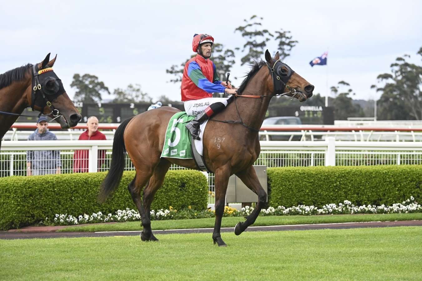 Sharp 'N' Smart 'will be at his peak' third-up, says trainer