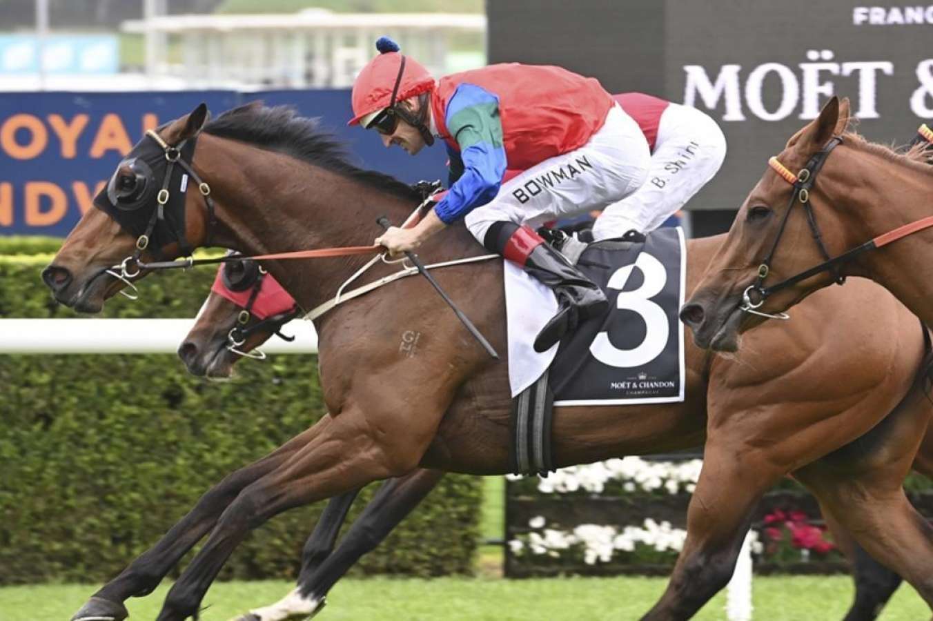 Sharp 'N' Smart set for Australian Derby, Queen Elizabeth Stakes