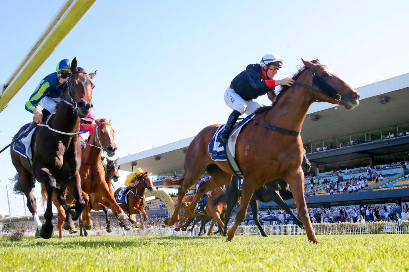 Group 1-winning mare sold for $1.35m after Golden Pendant flop