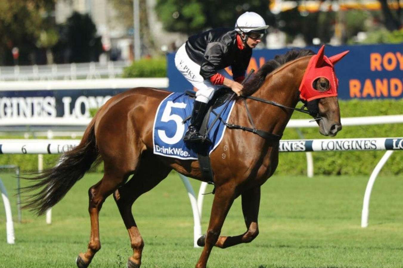 G1 winner up for grabs in stand-alone online auction