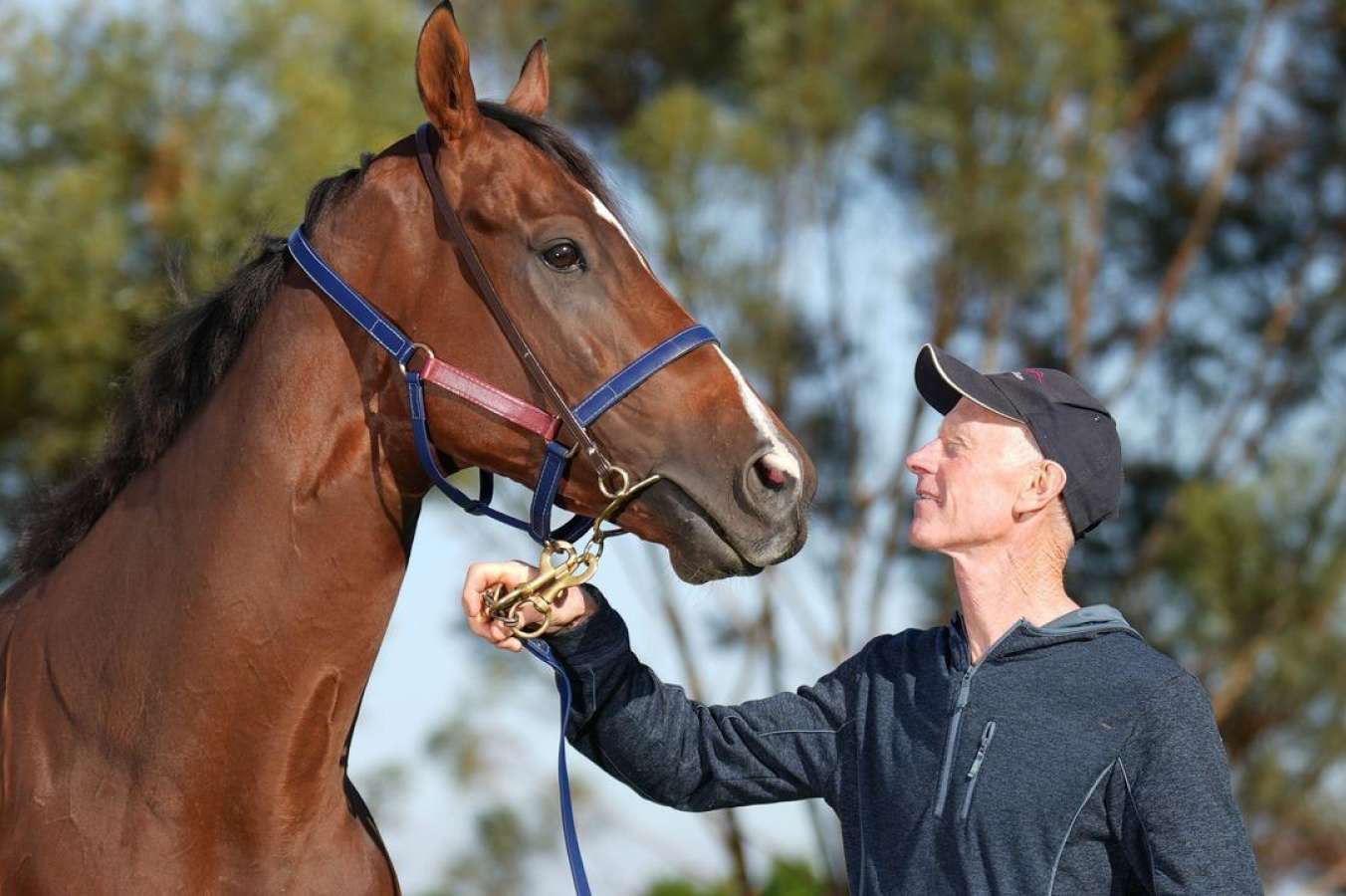 Danny Williams fires back at Shelby Sixtysix critics