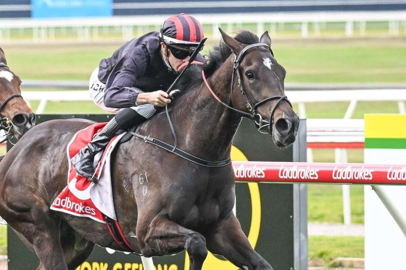 Pakenham horse racing tips: Thursday, February 20, 2025