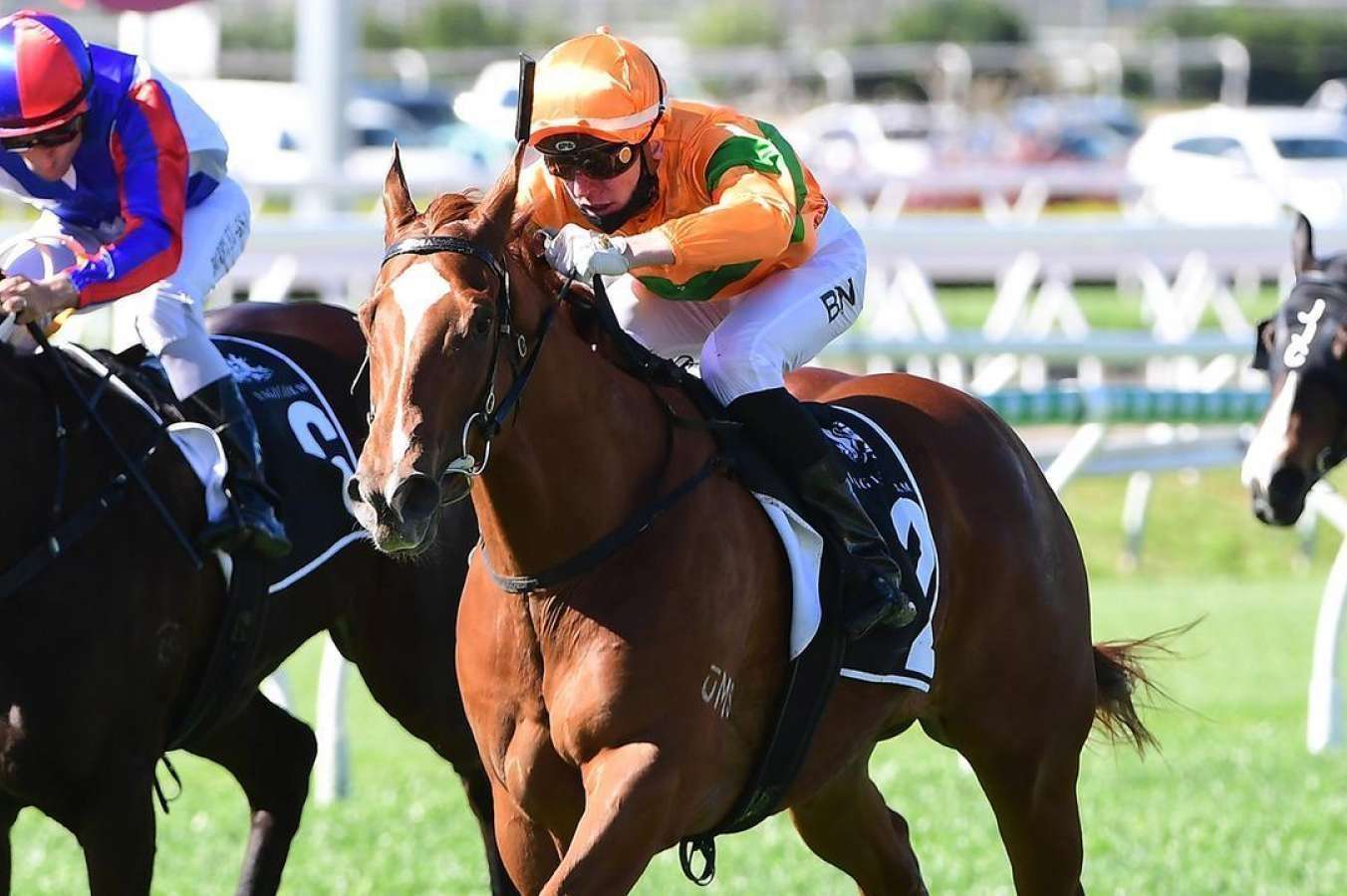 Sunshine Coast: Queensland summer campaign starts for Shooting For Gold