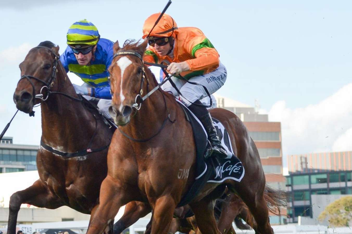 Matt Hoysted backs apprentice Jaden Lloyd for shot on Shooter