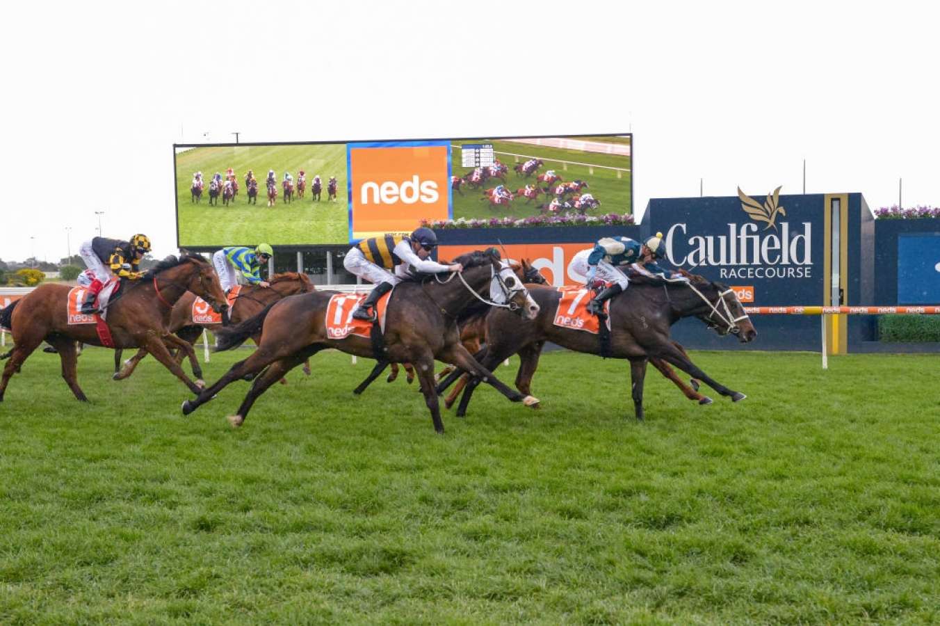 Toorak Handicap 2021: Tofane topweight but I'm Thunderstruck favourite