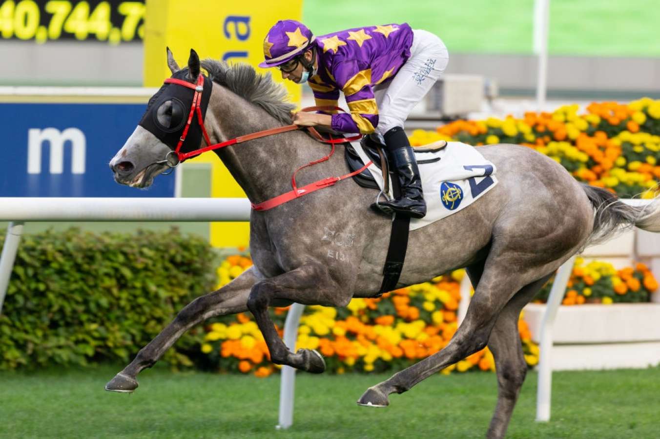 Silver Express emerges as BMW Hong Kong Derby hope