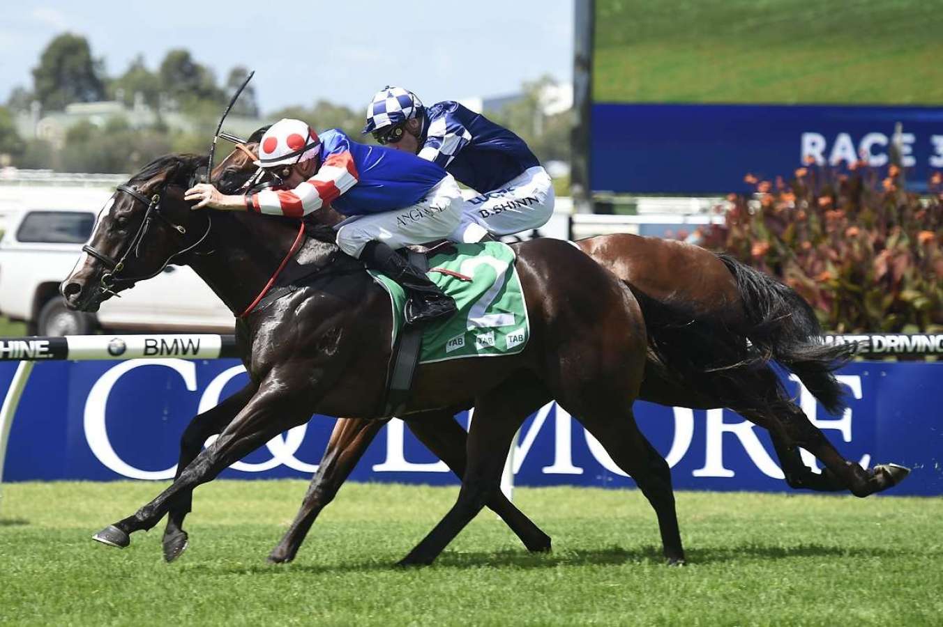 Single Bullet aims for Magic Millions shot