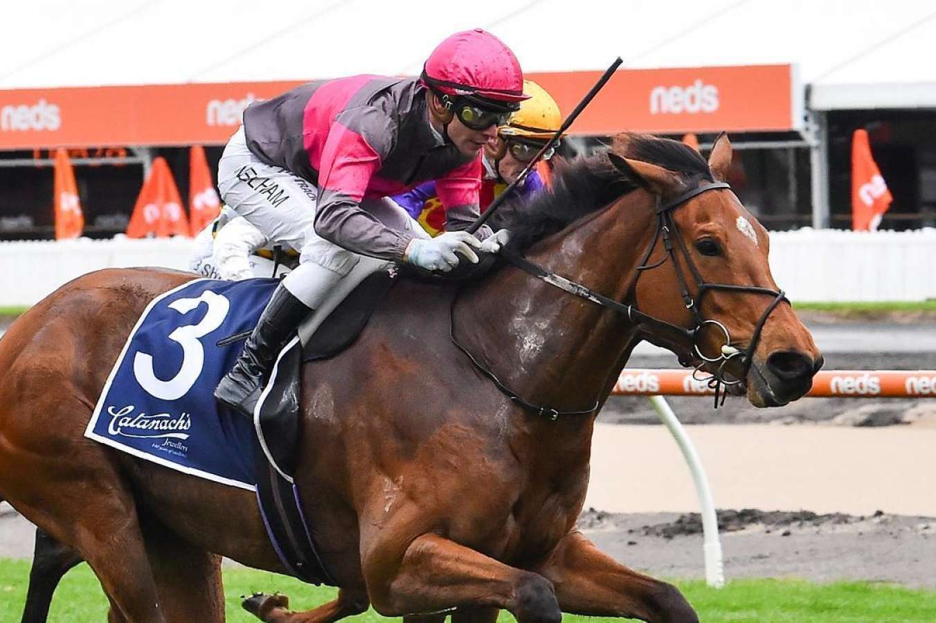 Five trainers to fight breast cancer drug presentation charges