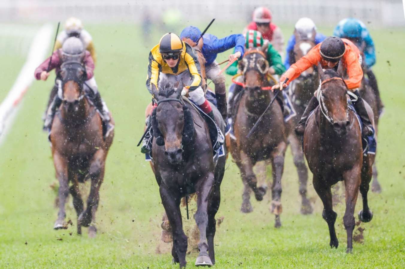 Bizarre call made at rain-sodden Randwick before being called off