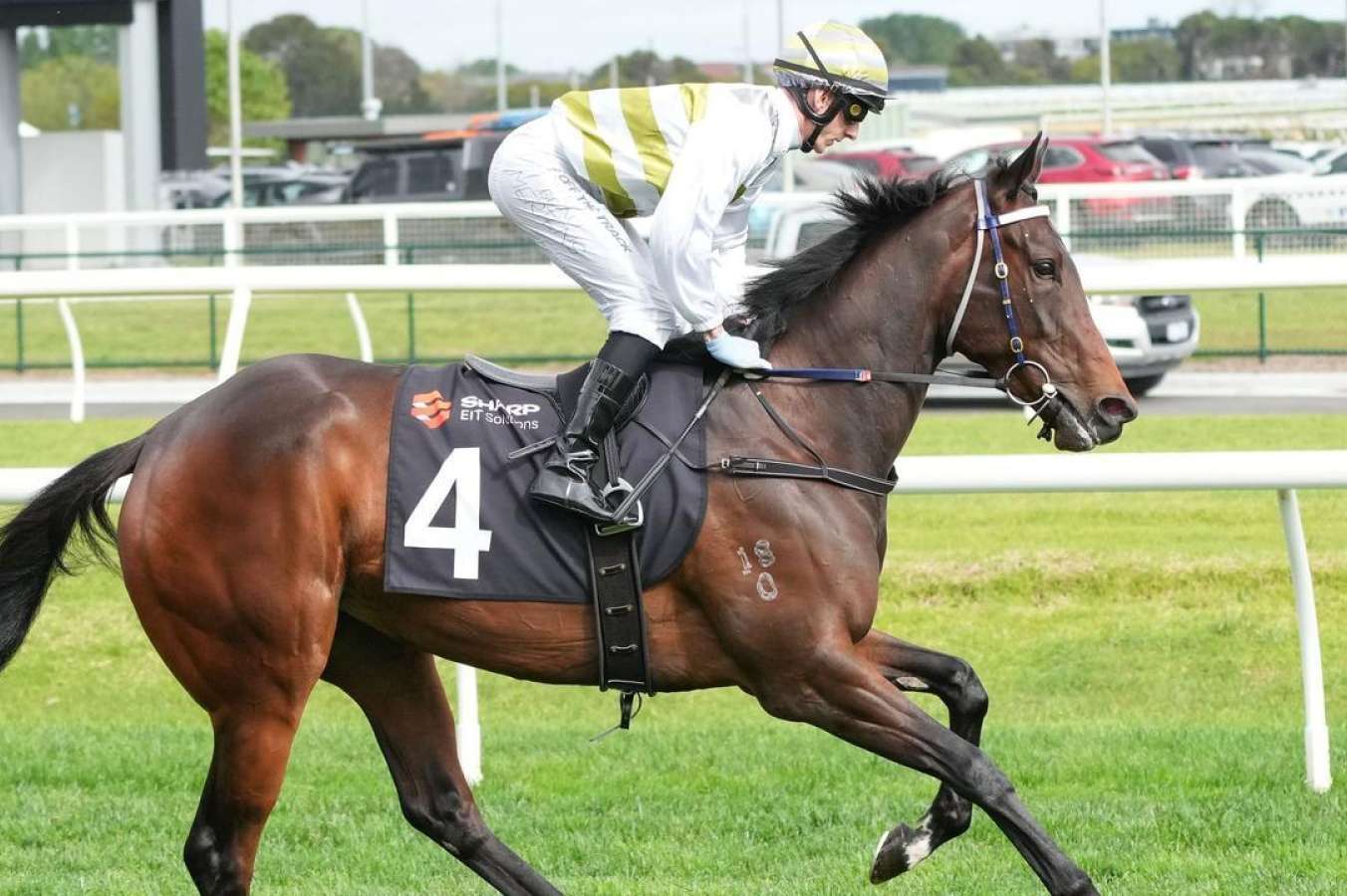 Black Caviar Lightning Stakes: Skybird may bypass race