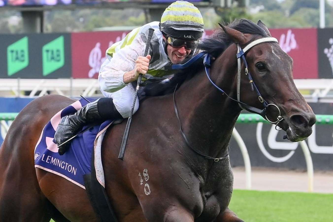 2025 Newmarket Handicap: Skybird ruled out with pectoral injury