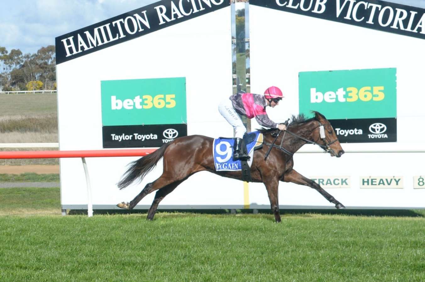 Hamilton horse racing tips for Monday, September 16, 2024