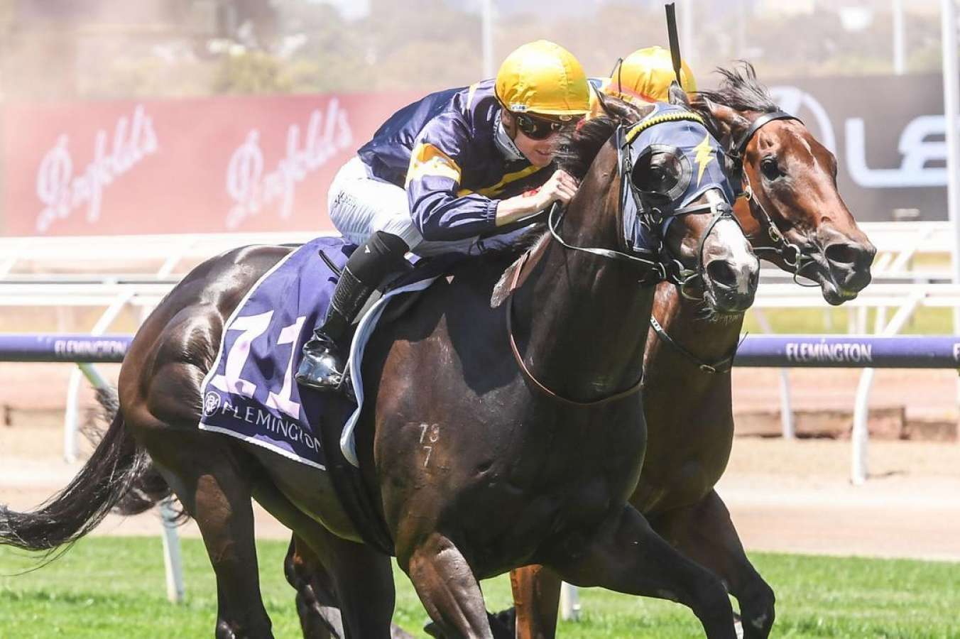 Mike Moroney to run Snapper in Standish Handicap at Flemington