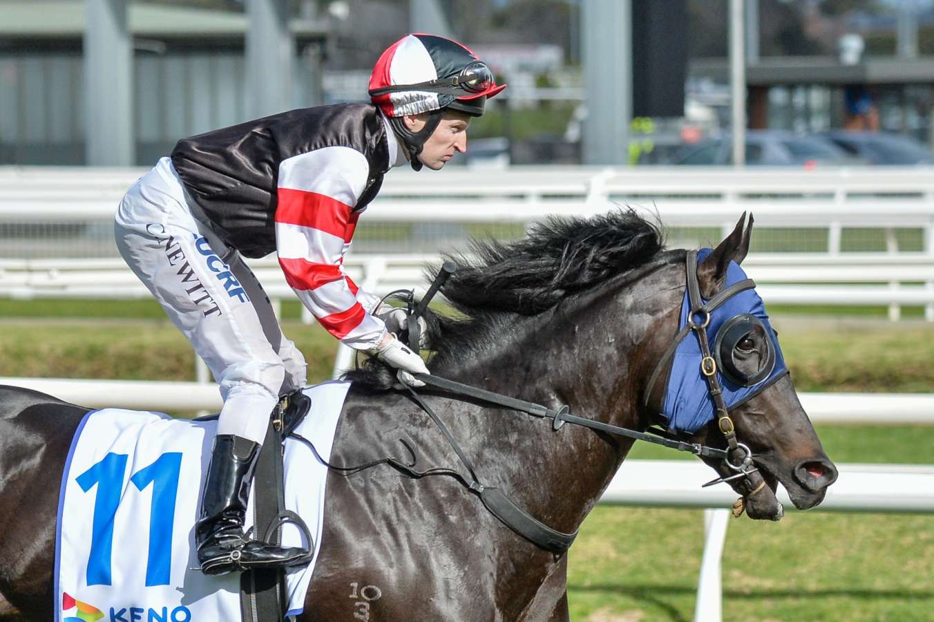 Change of stable for So Si Bon