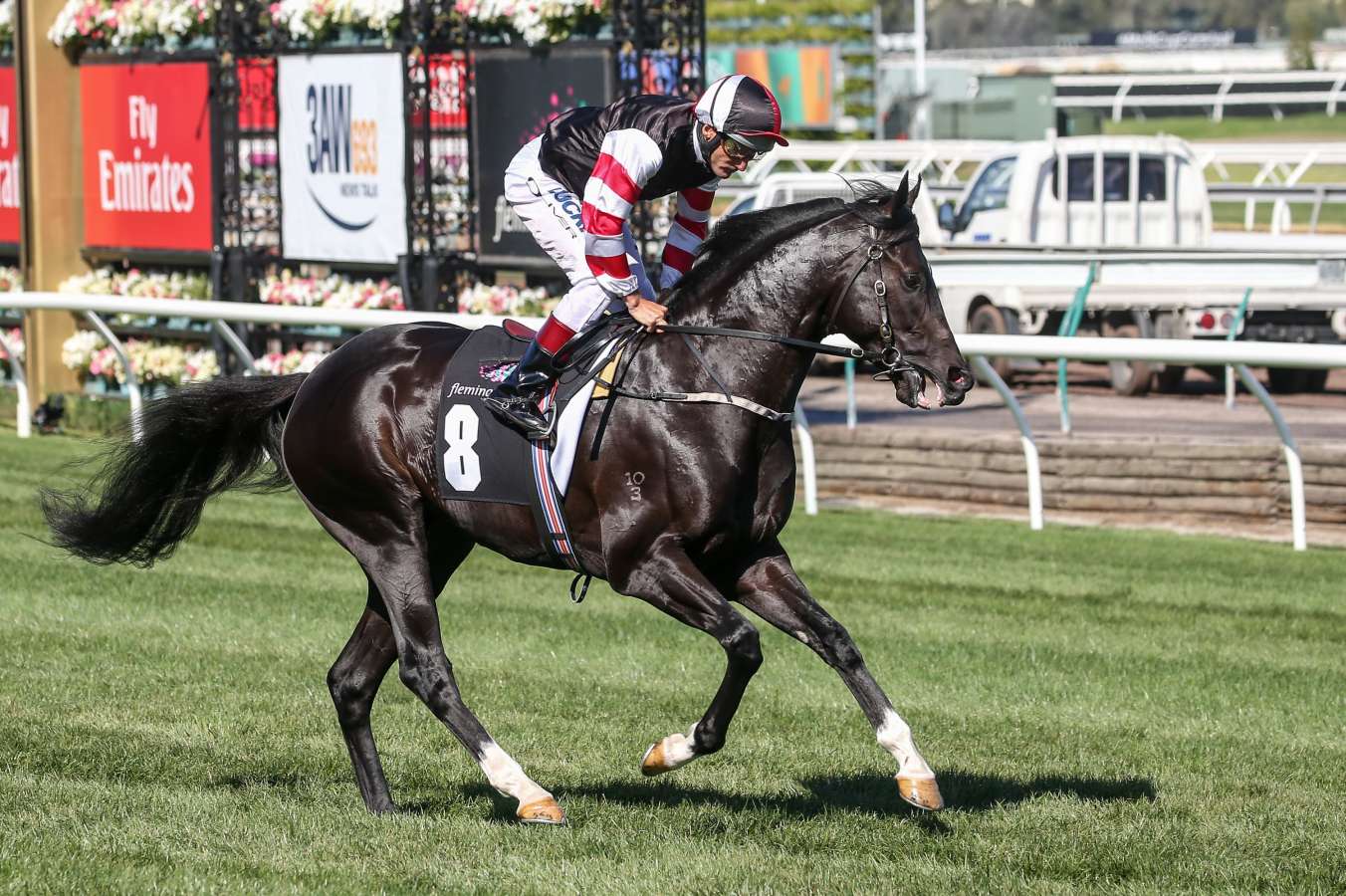 Flemington black bookers