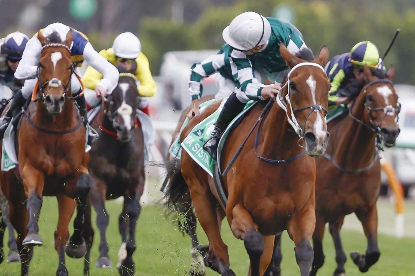 Big bets review: Giga Kick in the plums for punters