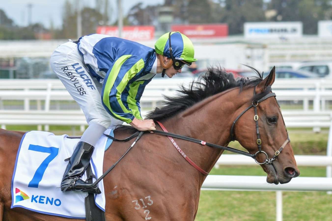 Sovereign Nation at his best for return at Eagle Farm