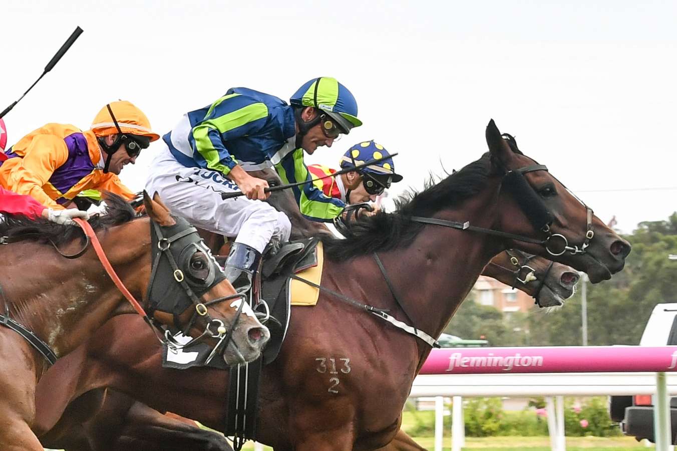 Hayes expects trio to be competitive in G1