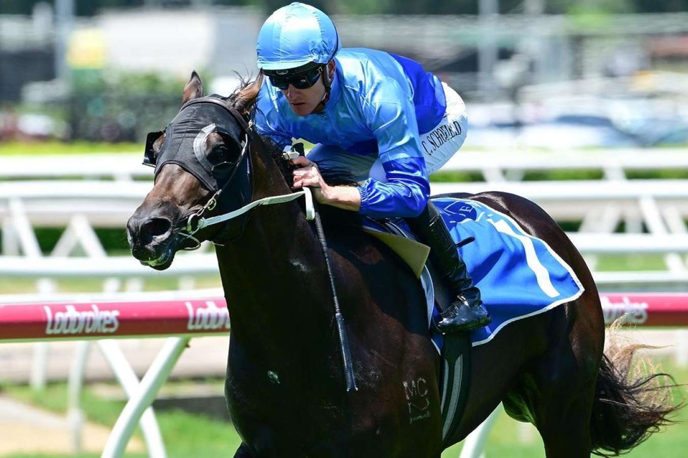 Space Rider wins at Eagle Farm to stamp Magic Millions hopes