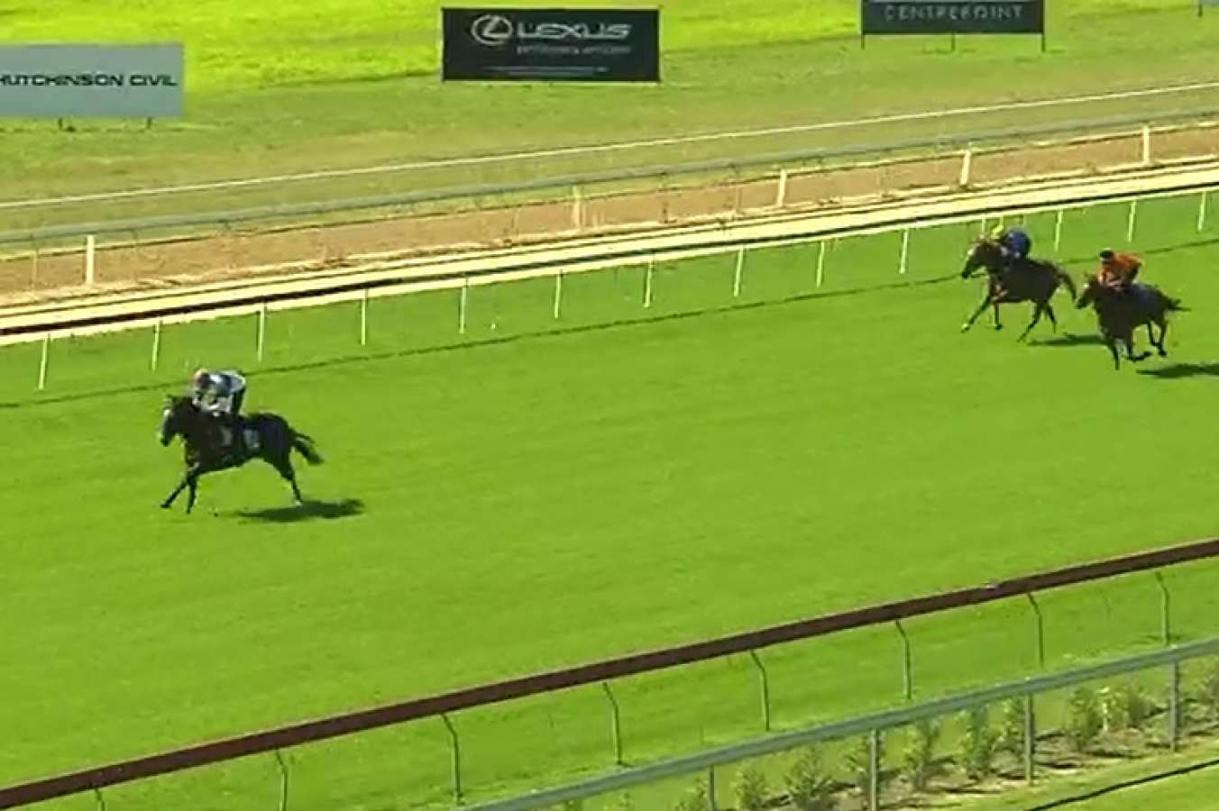 Brilliant trialler set to debut over 900m at Albury