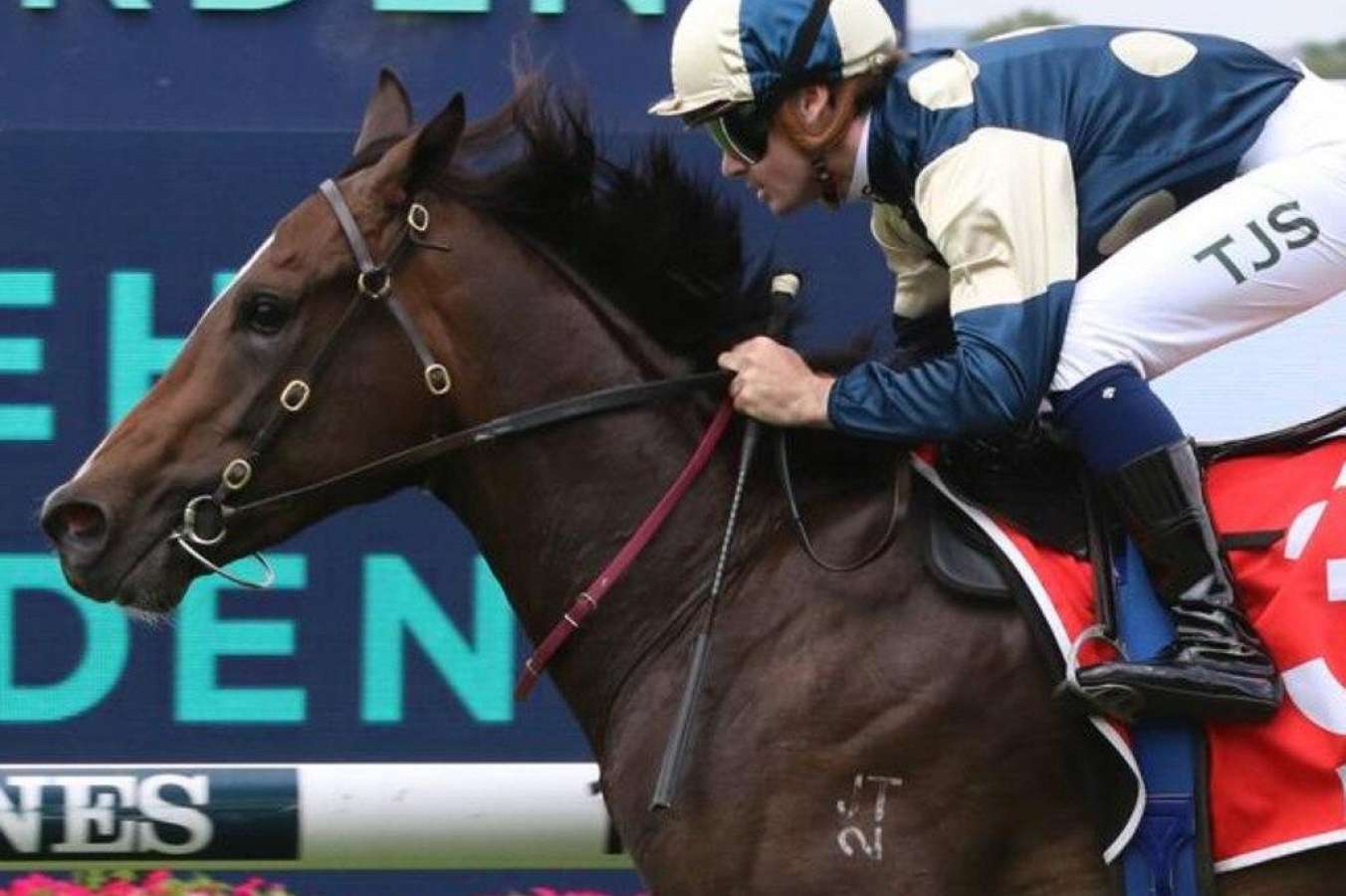 Punters post-race: Saturday racing in review [January 6, 2024]