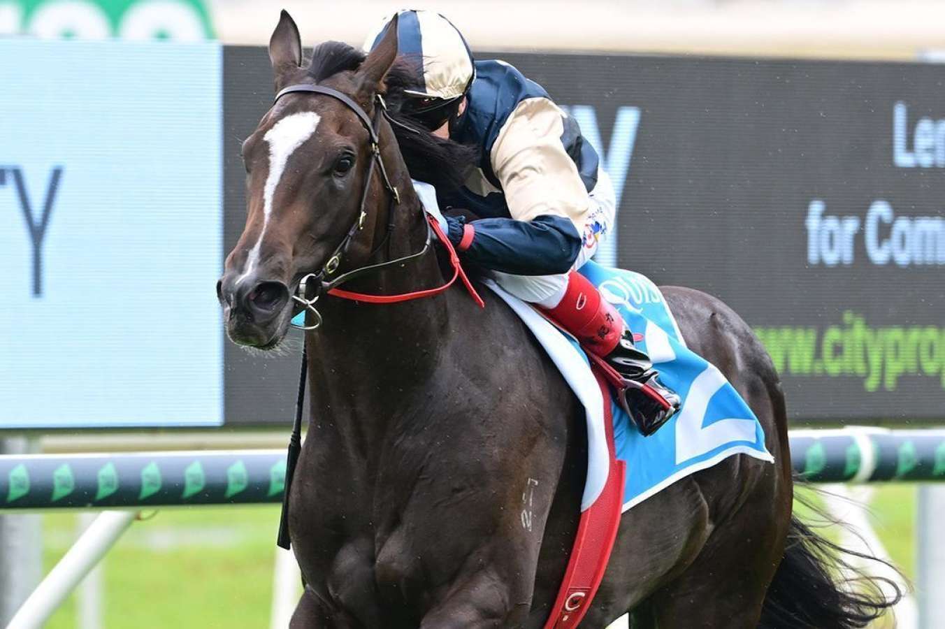 I Spy - Forgotten horse to surprise in $3m Magic Millions Sunlight slot ...
