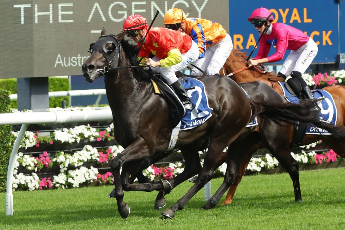 Royal Ascot: Artorius running in memory of part-owner's daughter