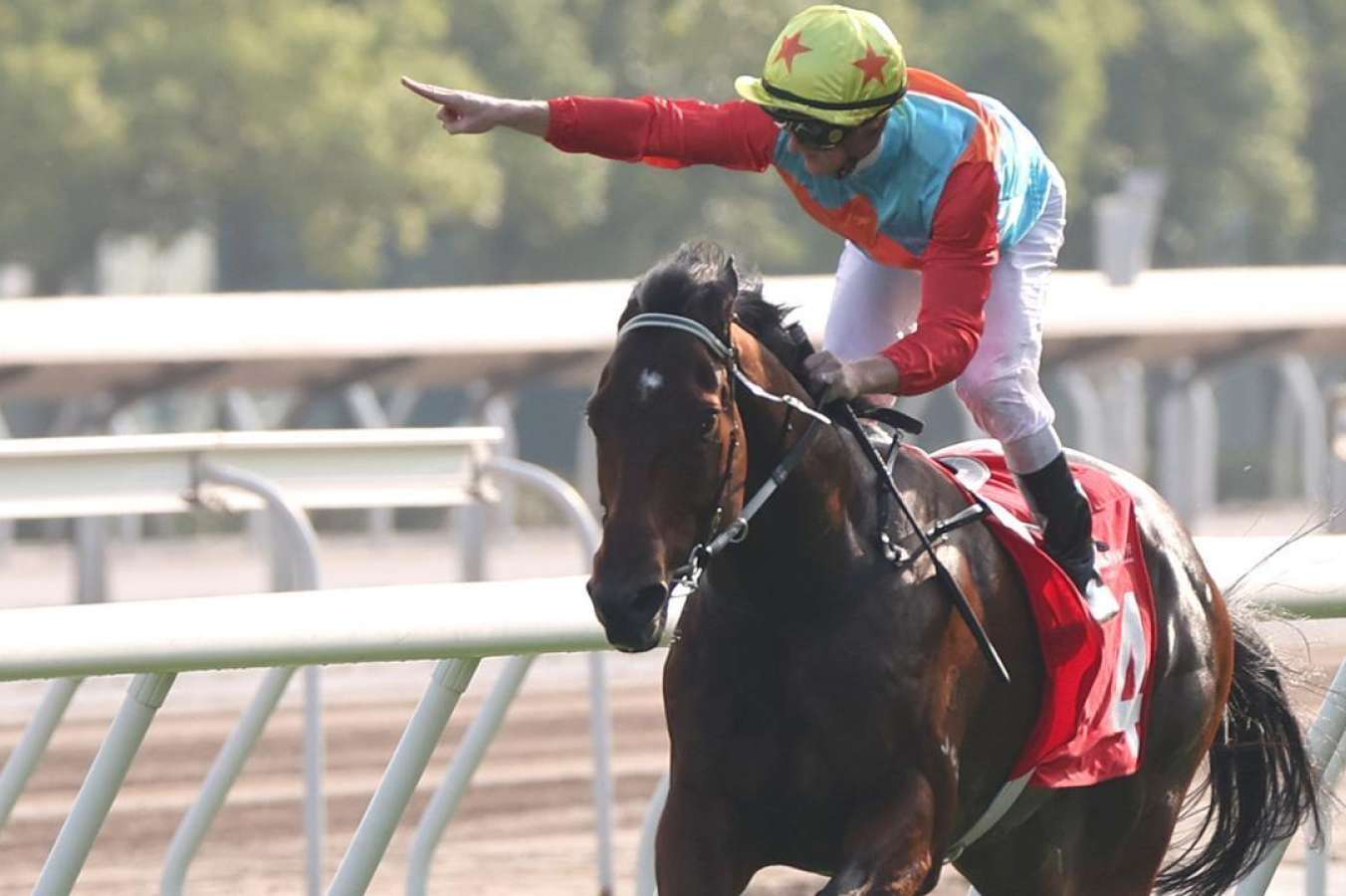 'Black Caviar and Silent Witness class': Dye's huge HK spruik