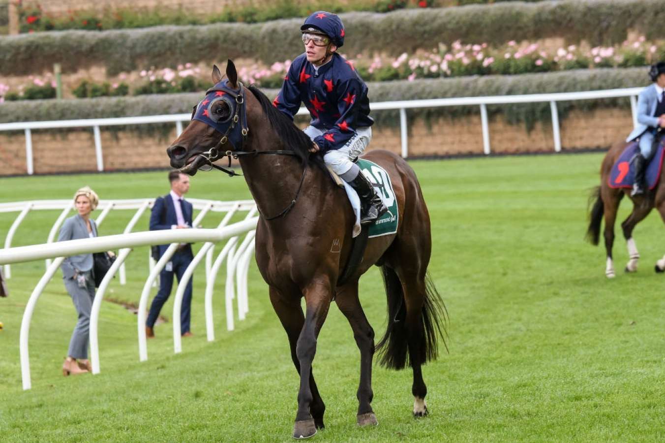 Change to Derby prep for Vic colt