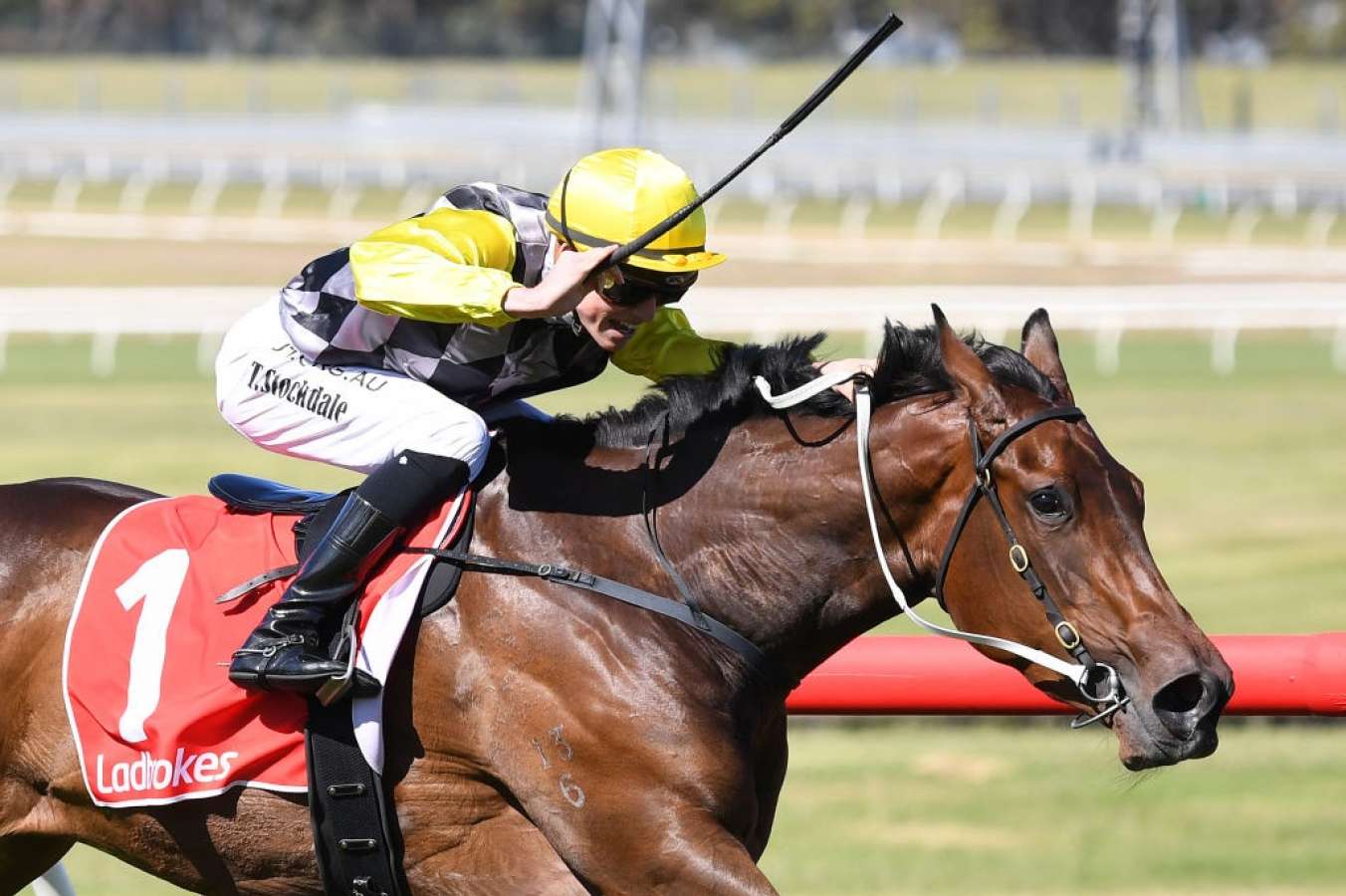 Bright future for Merited with Sandown win