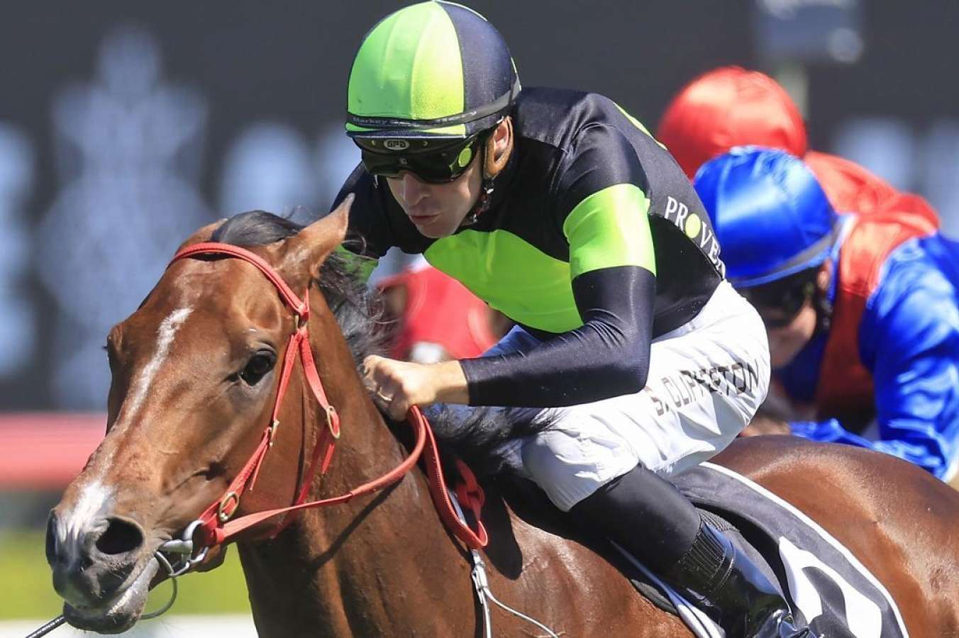 Joe Pride to take on internationals with Stockman in Tancred Stakes