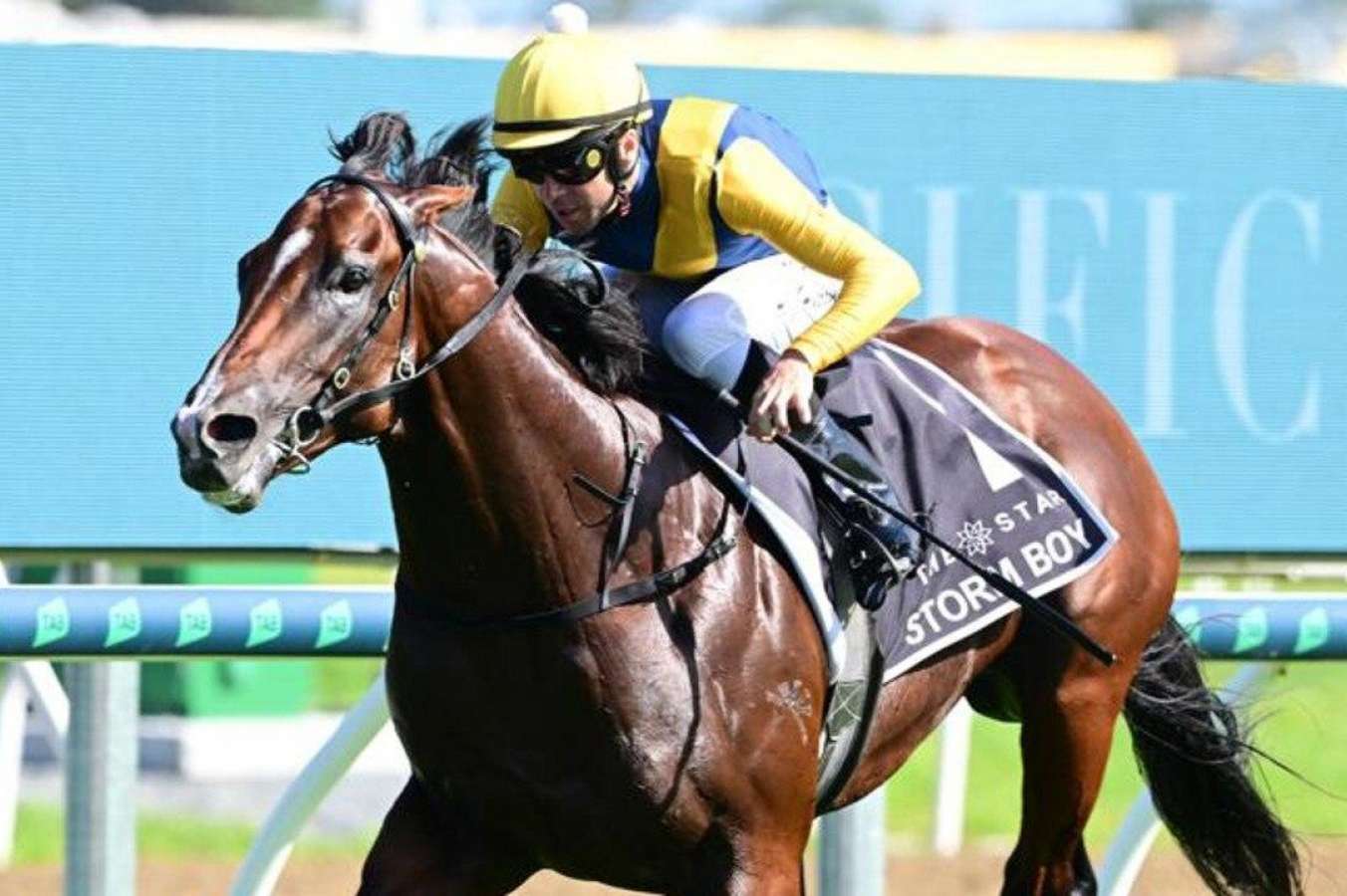 Storm Boy impressed under James McDonald in Rosehill trial