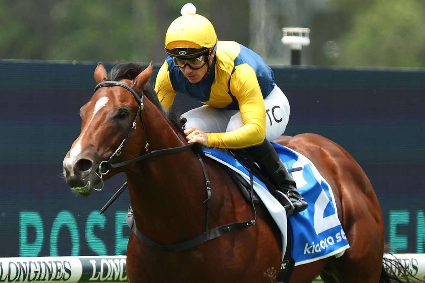 Gai Waterhouse ramps up Magic Millions bid with two-state attack