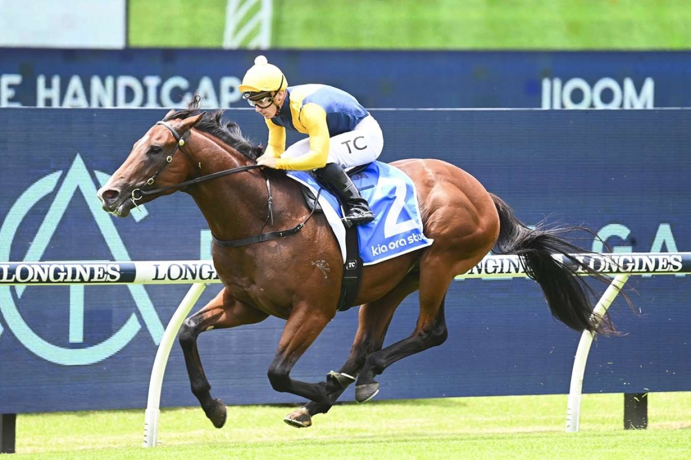 Shane Dye - Golden Slipper a two-horse race