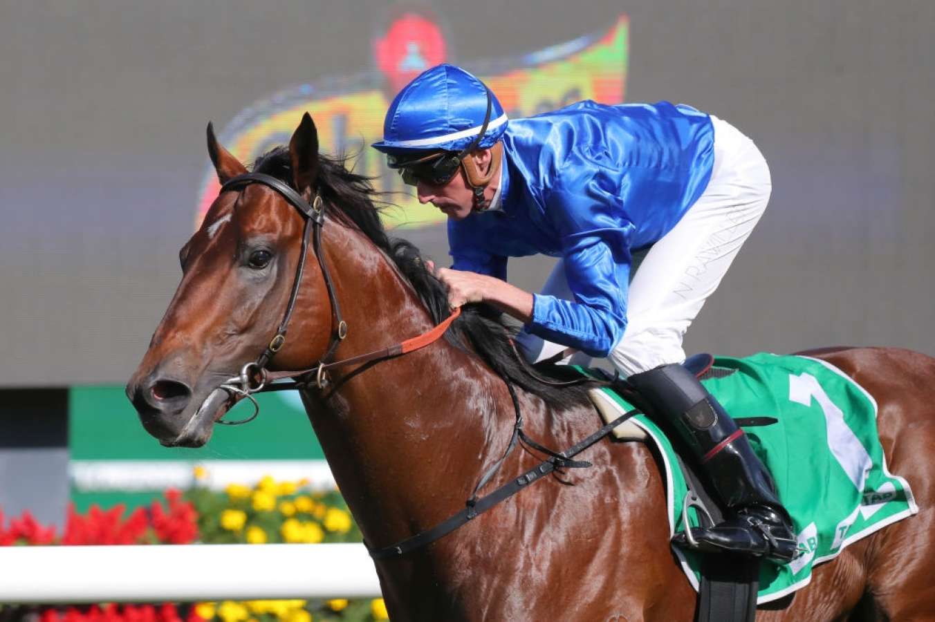 James Cummings previews the Godolphin runners on Saturday