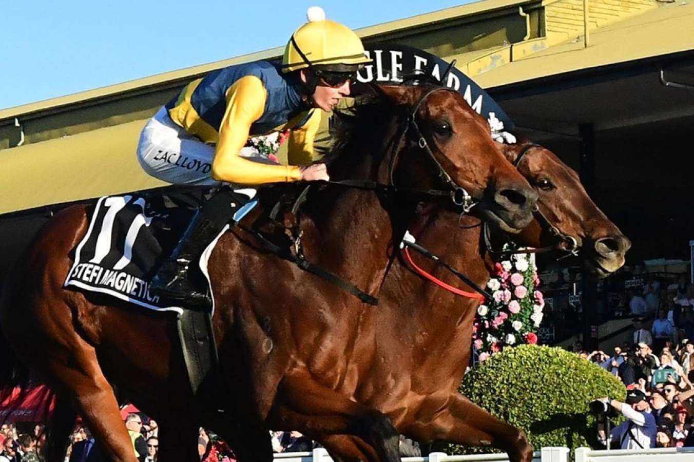 2024 The Shorts: Stefi Magnetica eyes surprise start