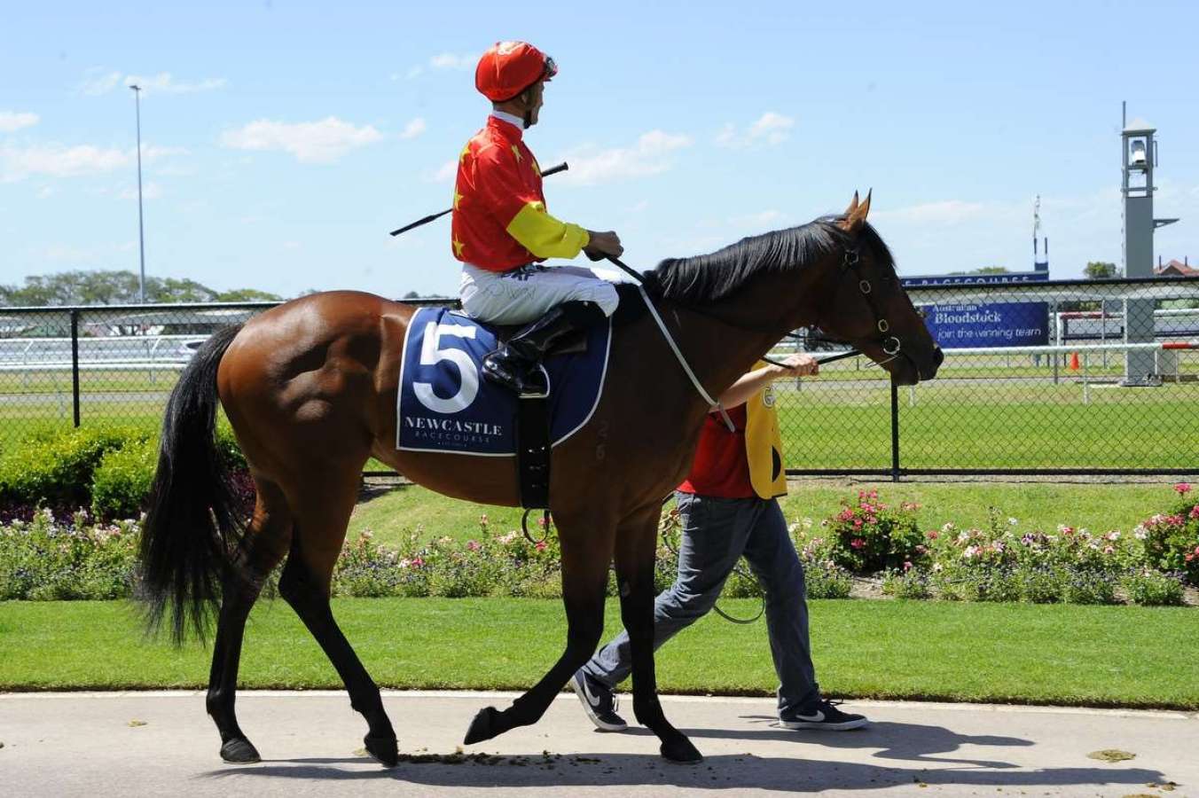 Snowdens launch three-pronged Sires' raid