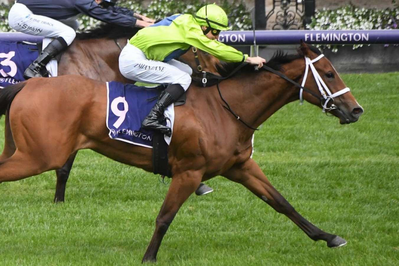 Runner-by-runner guide for the 2023 Group 1 Coolmore Stud Stakes