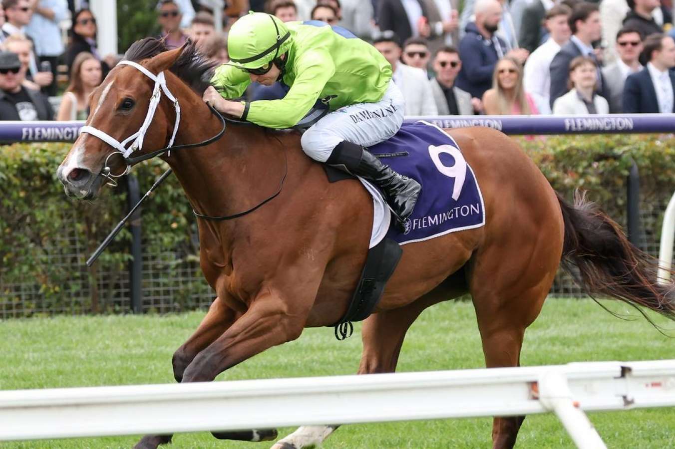 Stokes pair thriving ahead of Group 1 Robert Sangster Stakes