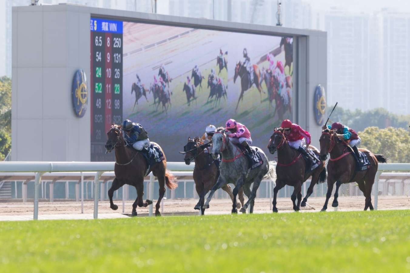 Sha Tin presenter tips and best bets: Sunday, November 26