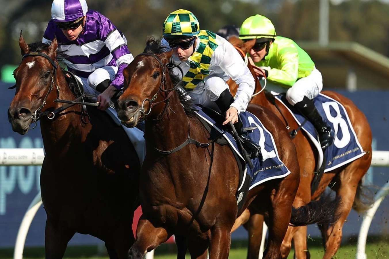 'It was perfect': Sunshine In Paris on track for TJ Smith Stakes after ...