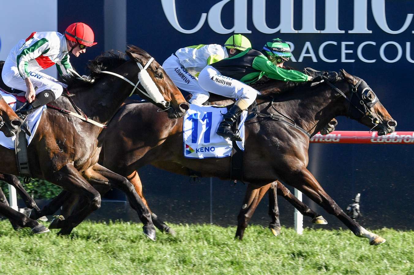 Super Cash heading to G1 Manikato Stakes